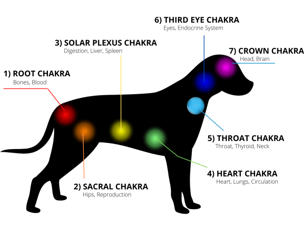 Unlock the Power of Chakra Colors (Free Chakra Charts)