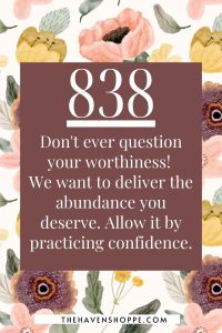 The Beautiful Spiritual Meaning of Angel Number 838 – The Haven Shoppe
