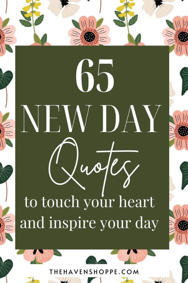 65 Positive Quotes for a New Day to Touch Your Heart – The Haven Shoppe