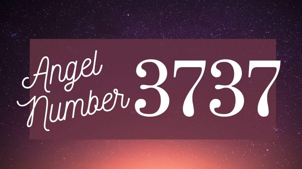 Angel Number 3737: Strong Magic Surrounds You Now – The Haven Shoppe