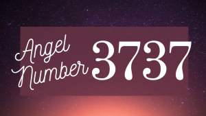 Angel Number 3737: Strong Magic Surrounds You Now – The Haven Shoppe