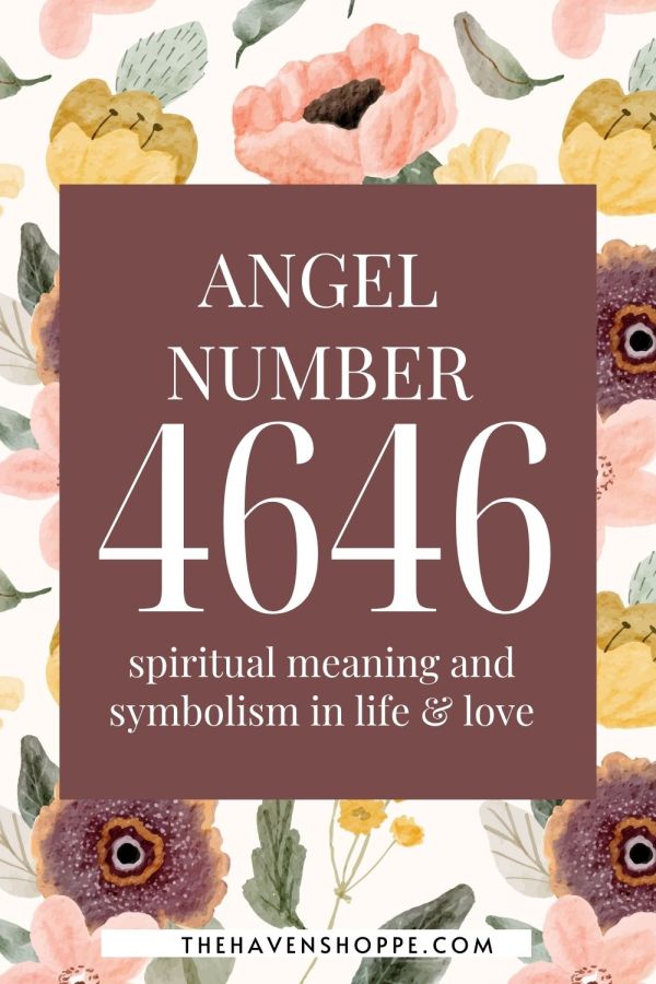 Angel Number 4646: Powerful Messages for Life, Love and Career – The ...