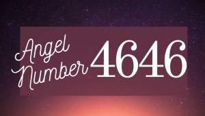 Angel Number 4646: Powerful Messages for Life, Love and Career – The ...